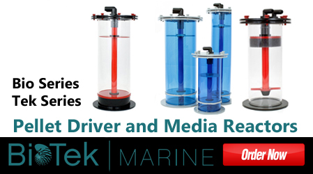 Aquarium Specialty - Aquarium Supplies